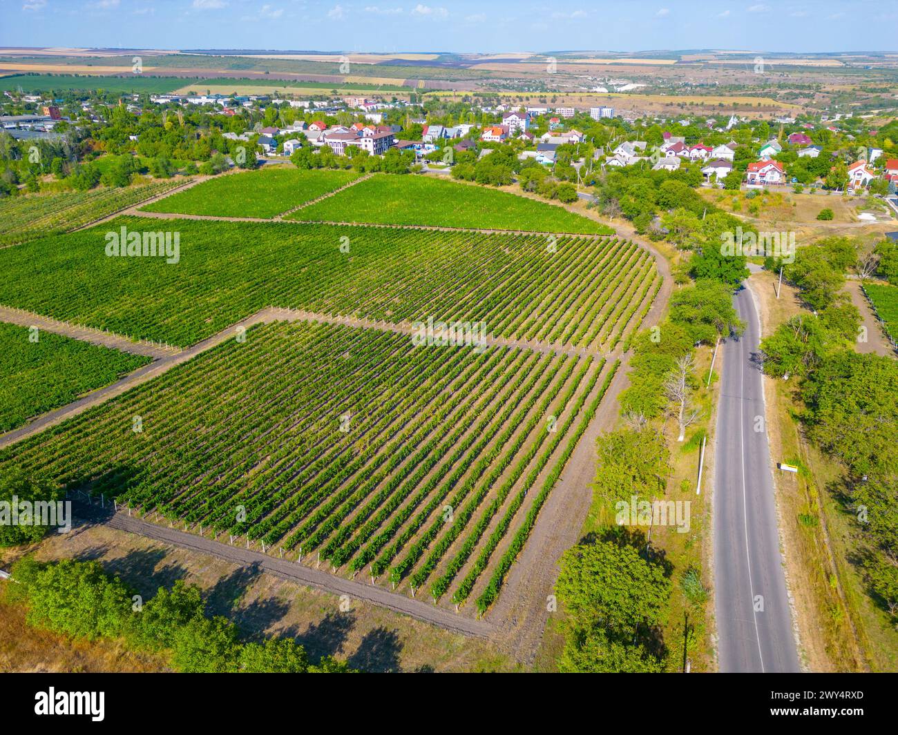 Panorama view of Cricova vineyard in Moldova Stock Photo - Alamy