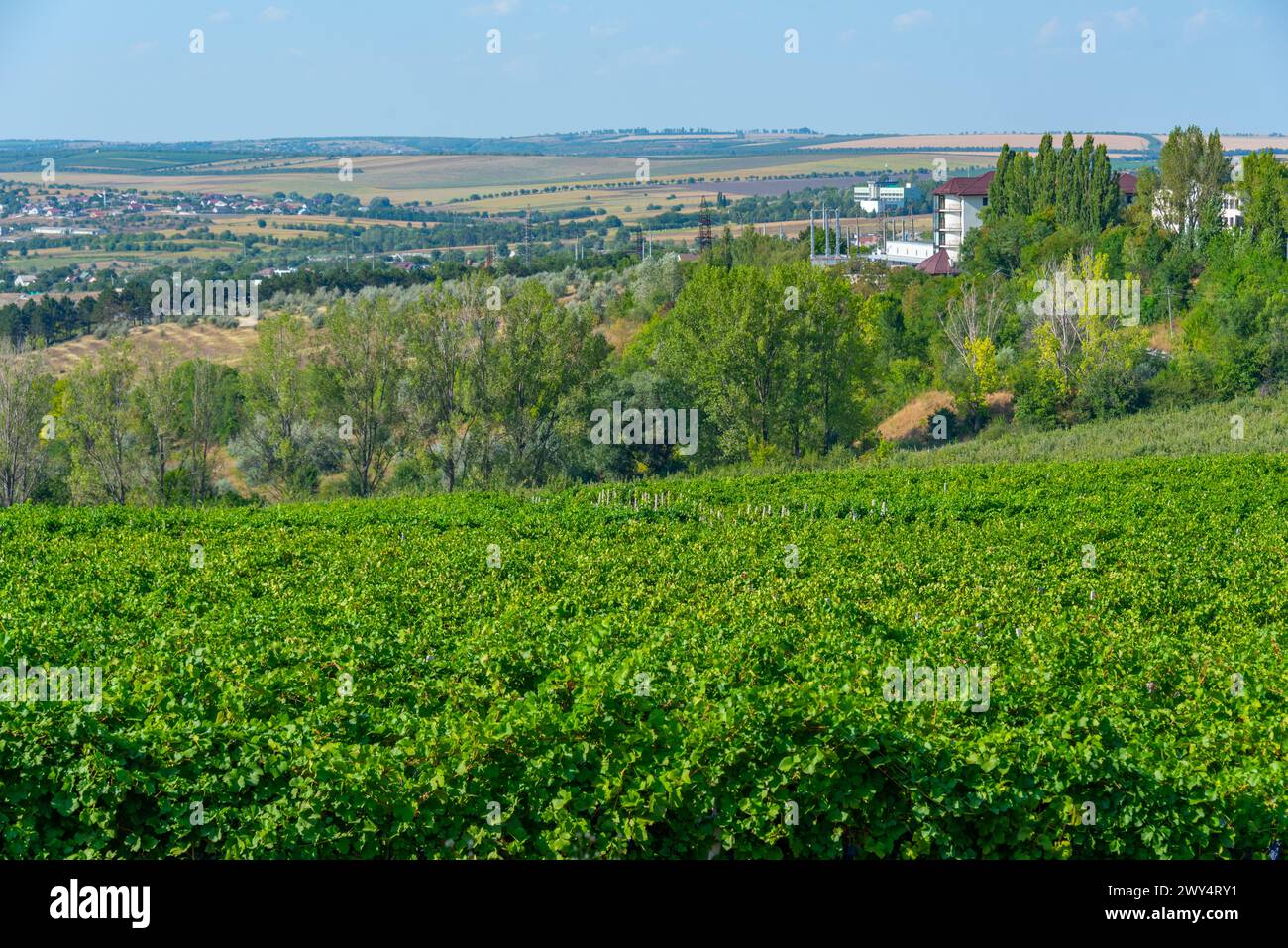 Panorama view of Cricova vineyard in Moldova Stock Photo - Alamy