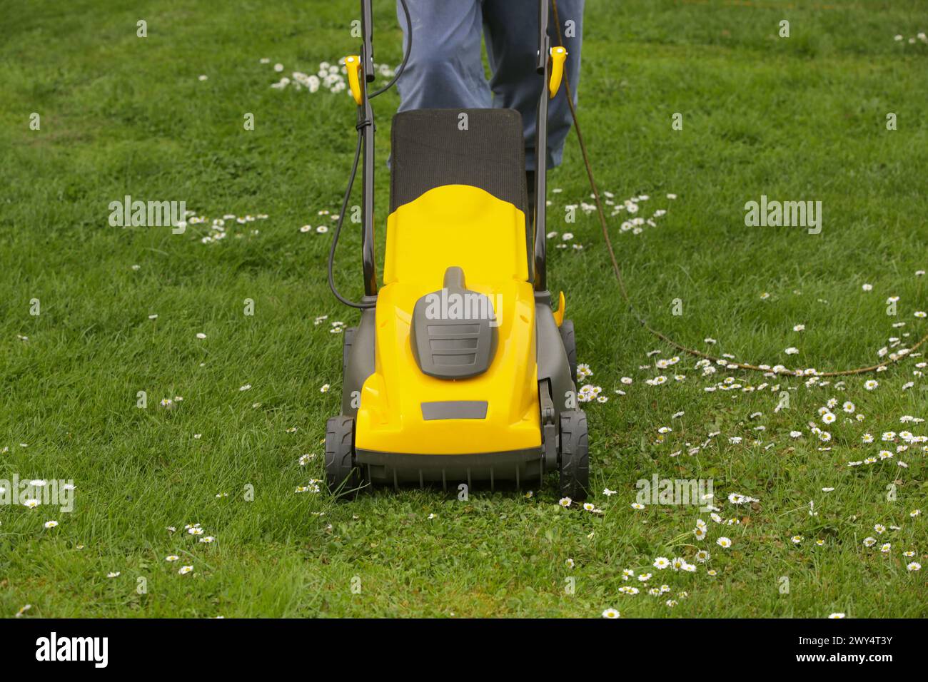 Yellow lawn mower on the spring green grass in the yard Stock Photo - Alamy