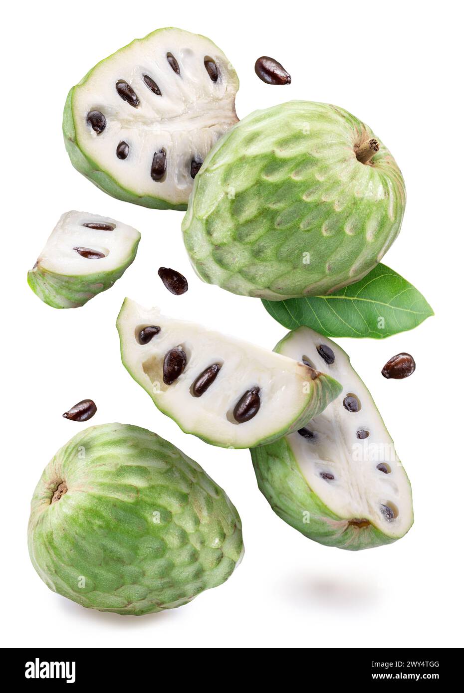 Custard apples or cherimoya fruits and slices of fruit floating in the ...