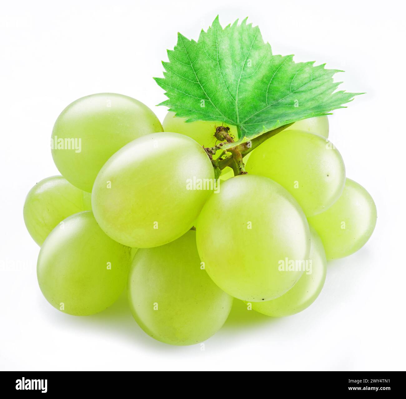 Small bunch of white table grape with grape leaf isolated on white ...