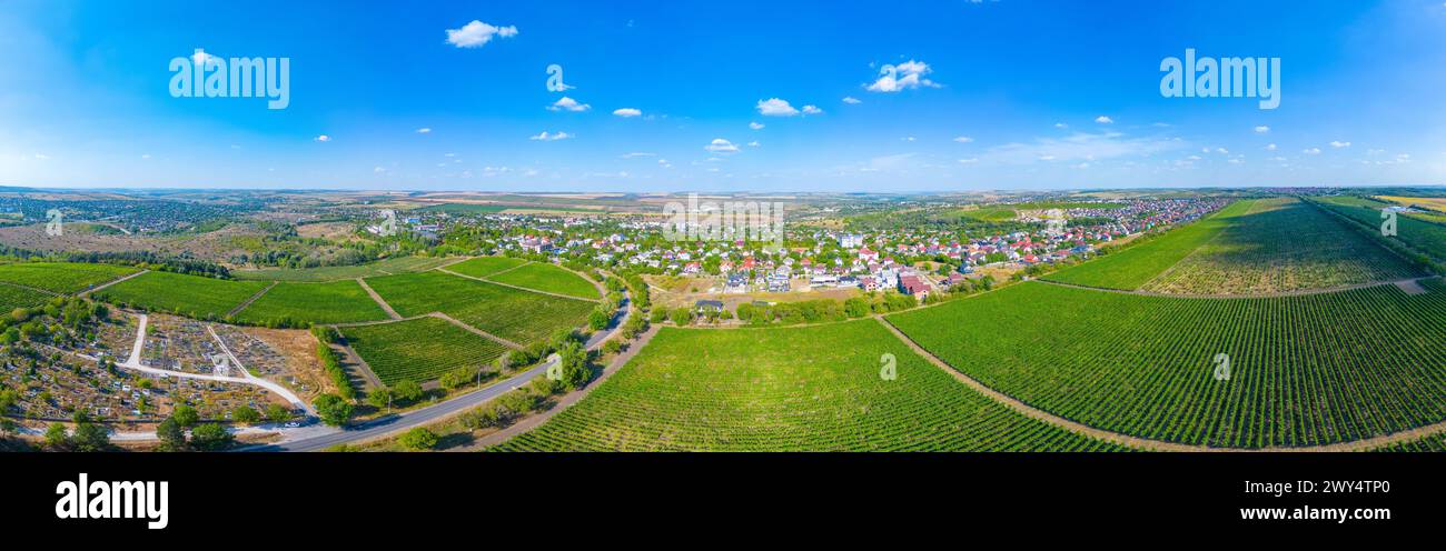 Panorama view of Cricova vineyard in Moldova Stock Photo - Alamy