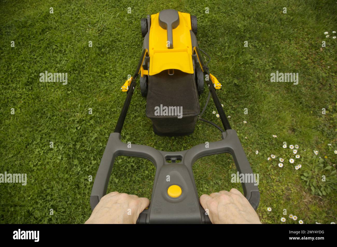 Yellow lawn mower on the spring green grass in the yard Stock Photo - Alamy