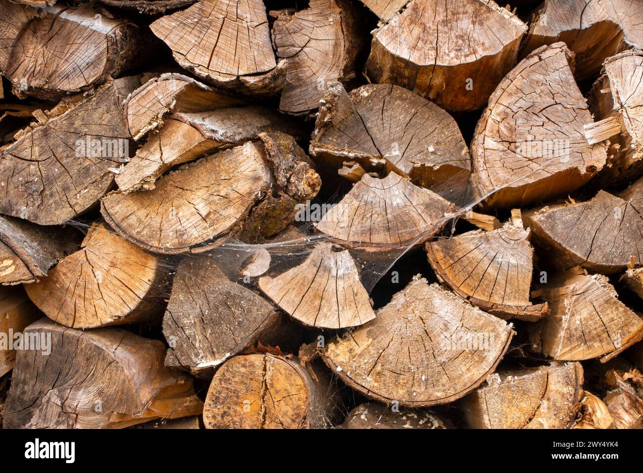 A stack of chopped firewood on a sidewalk Stock Photo - Alamy