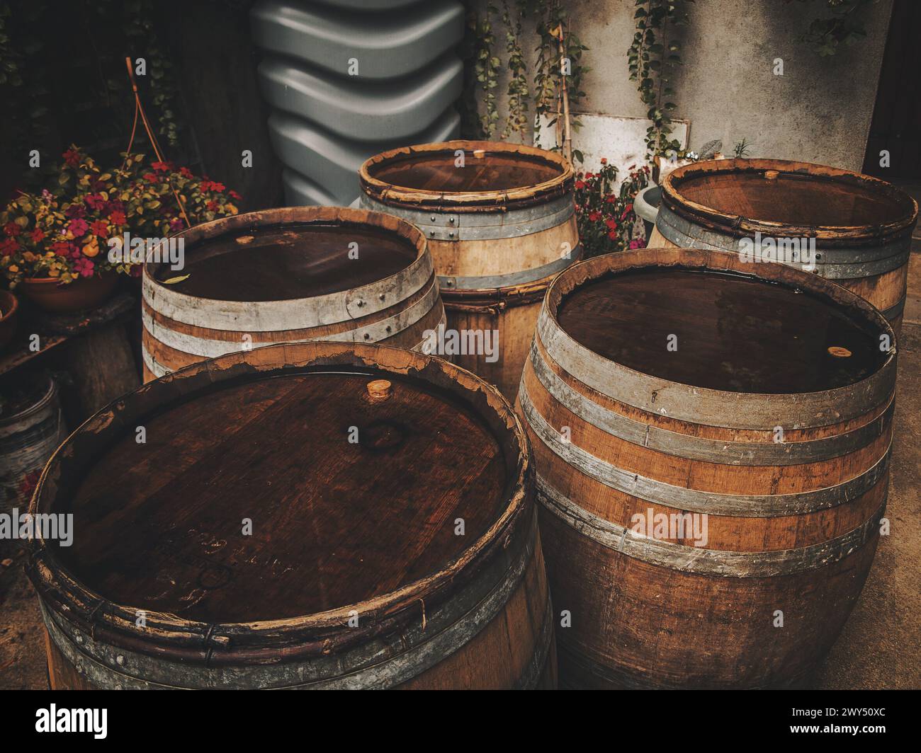 Large wooden barrels. Background from wine barrels. France Stock Photo ...