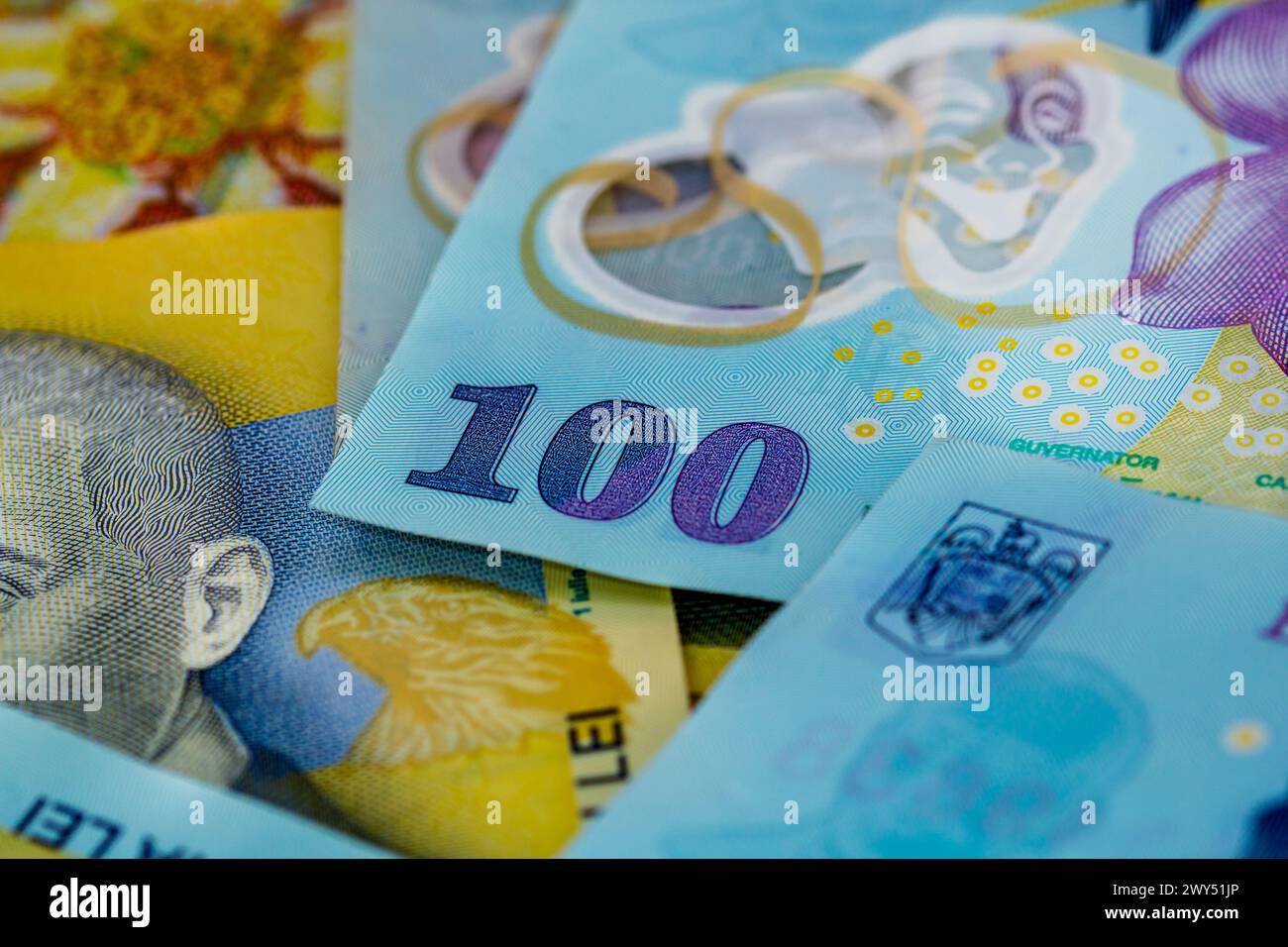 LEI money banknotes, detail photo of RON. Romanian currency Stock Photo ...
