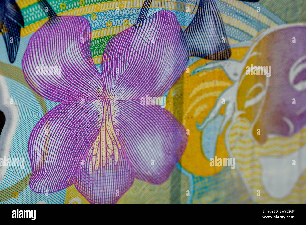 LEI money banknotes, detail photo of RON. Romanian currency Stock Photo ...