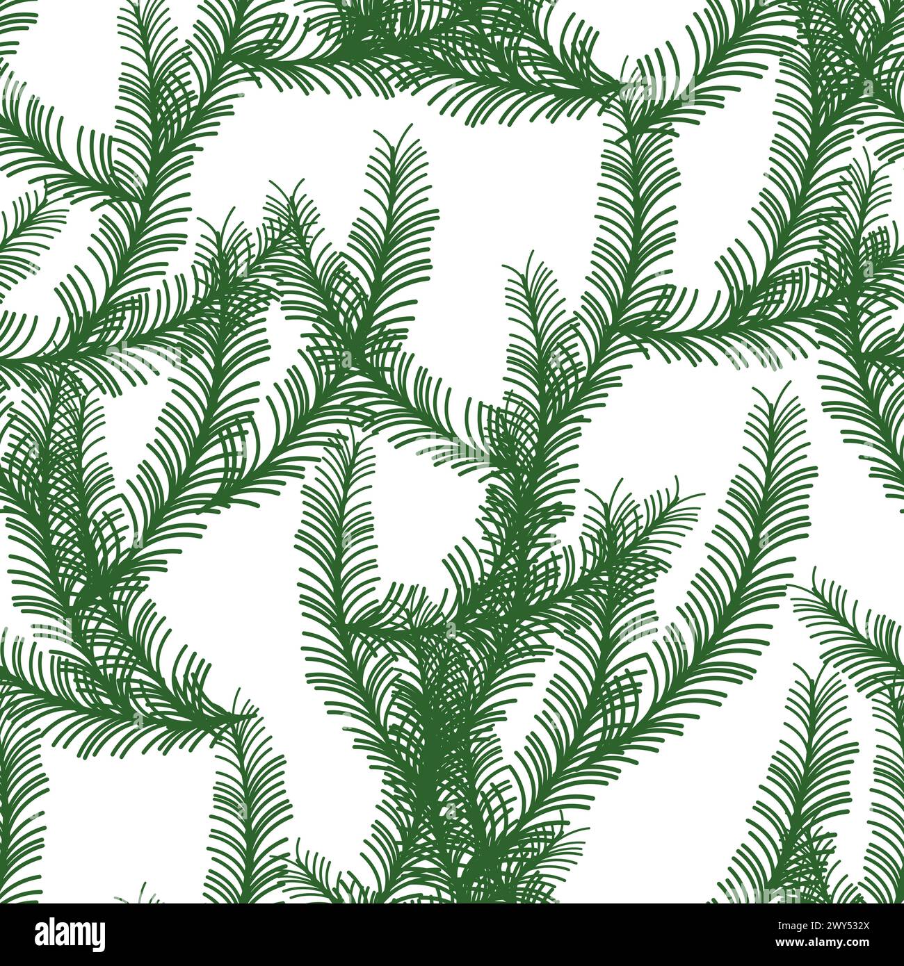 Set spruce pine branches Stock Vector Images - Alamy