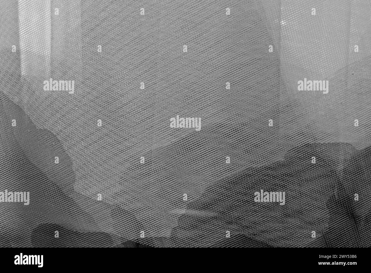 Intentional camera movement (ICM) image of a dream like black and white ...