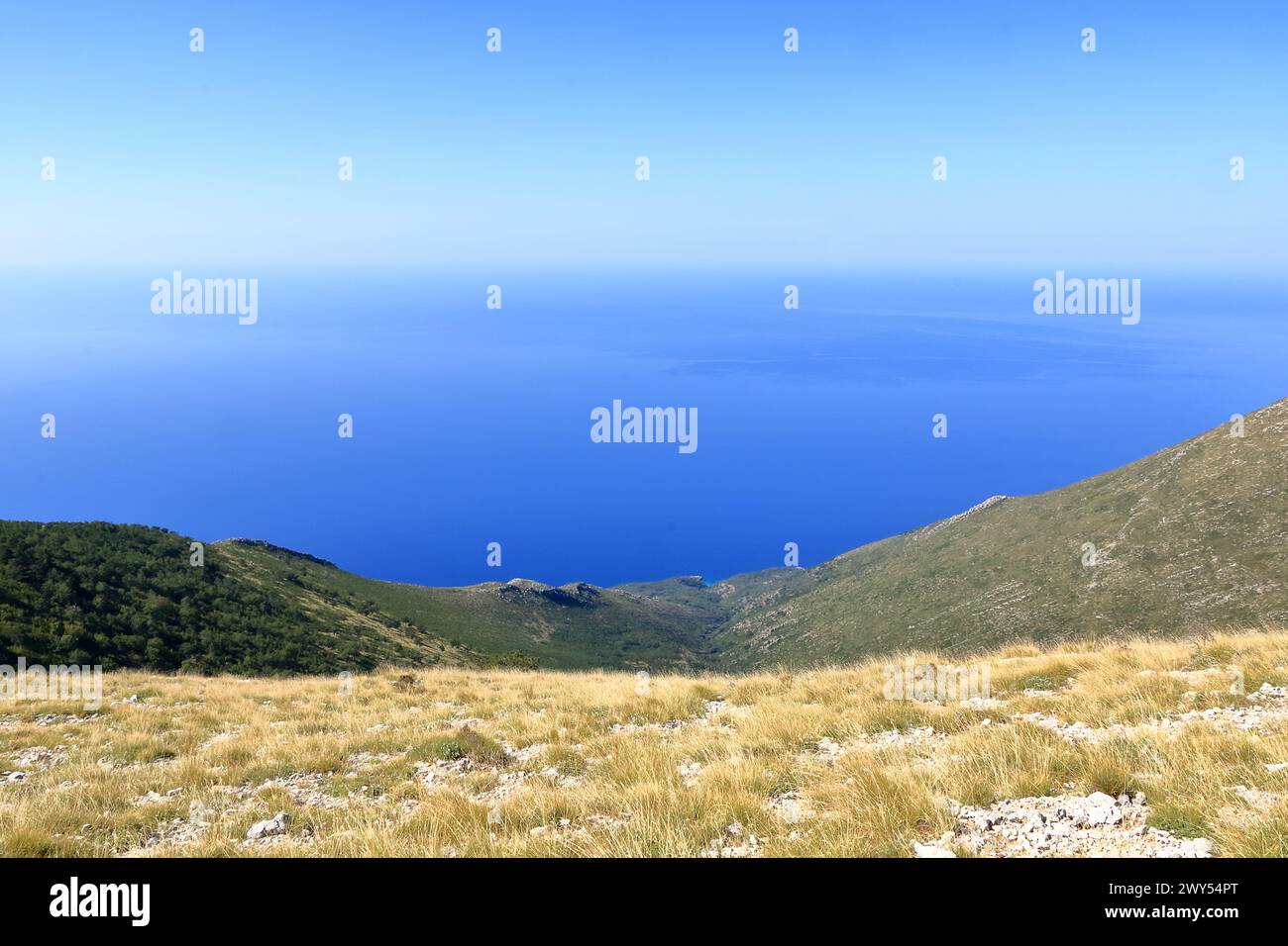 In the depths of Llogara National Park in Albania. On the trail in the ...