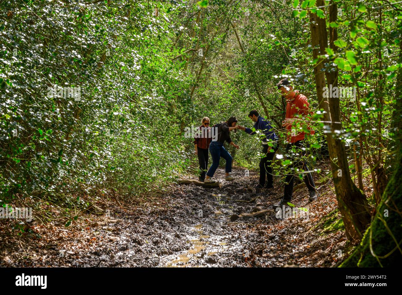 Young adults traversing an extremely muddy footpath between Haywards ...