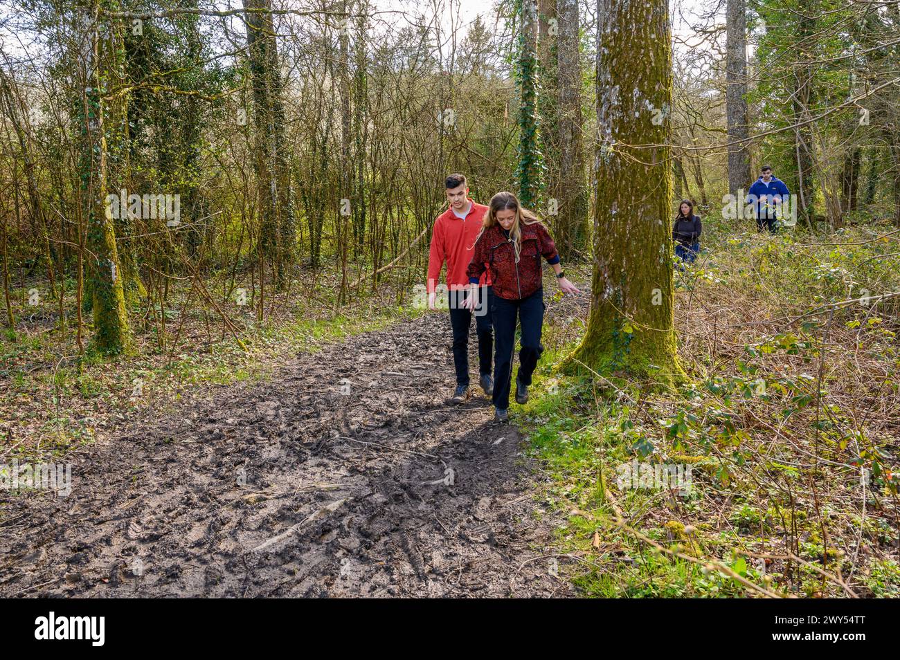 Young adults traversing an extremely muddy footpath between Haywards ...