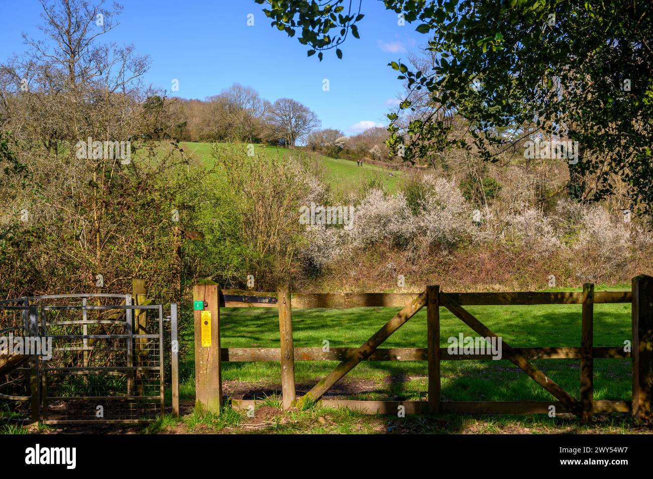 Fence with kissing gate on a walking route through woodland and hills ...