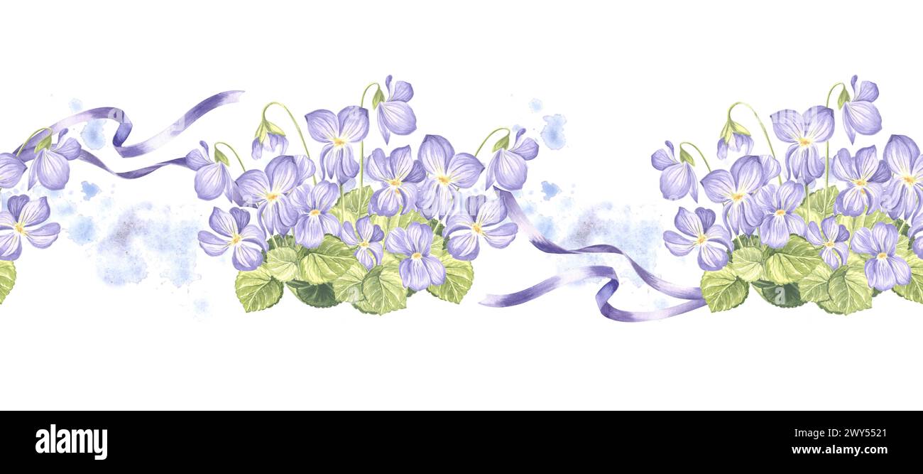 Wild violets with green leaves and ribbons seamless border. Hand drawn ...
