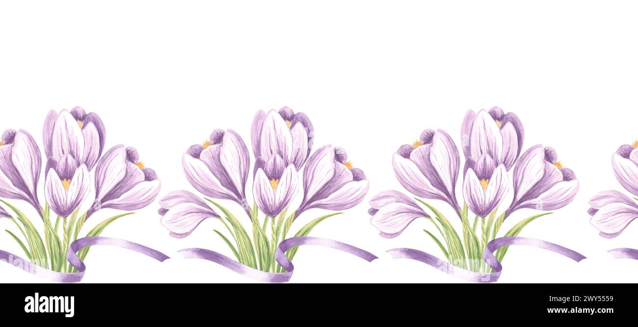 Violet crocuses with green leaves and ribbons seamless border. Hand ...