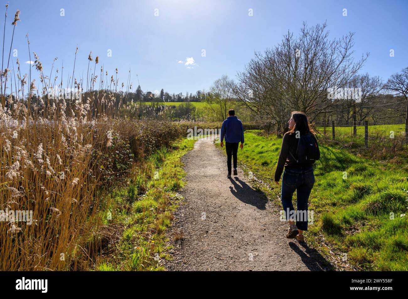 Young adults walking on a gravel footpath next to Ardingly Reservoir ...
