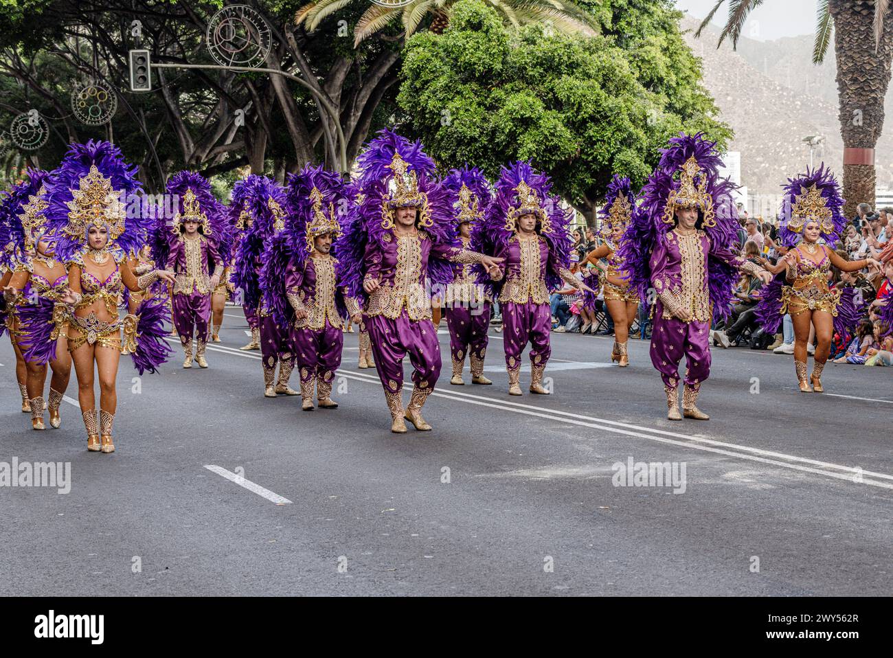 Group of people in very elaborate costumes in the Tenerife carnival ...