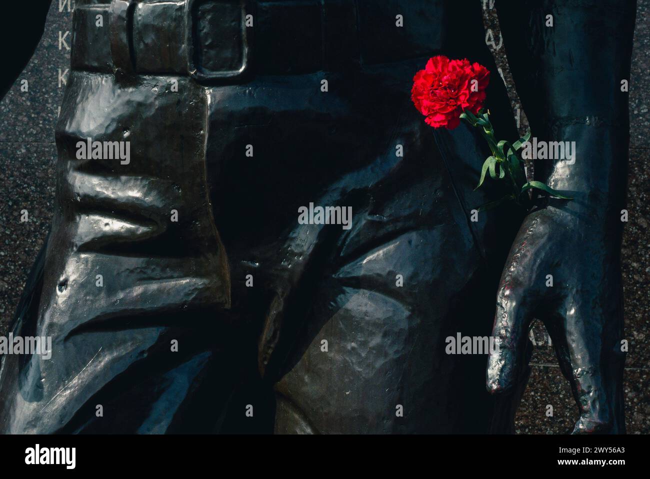 A red carnation on a sculpture of a soldier. Ceremony of remembrance ...