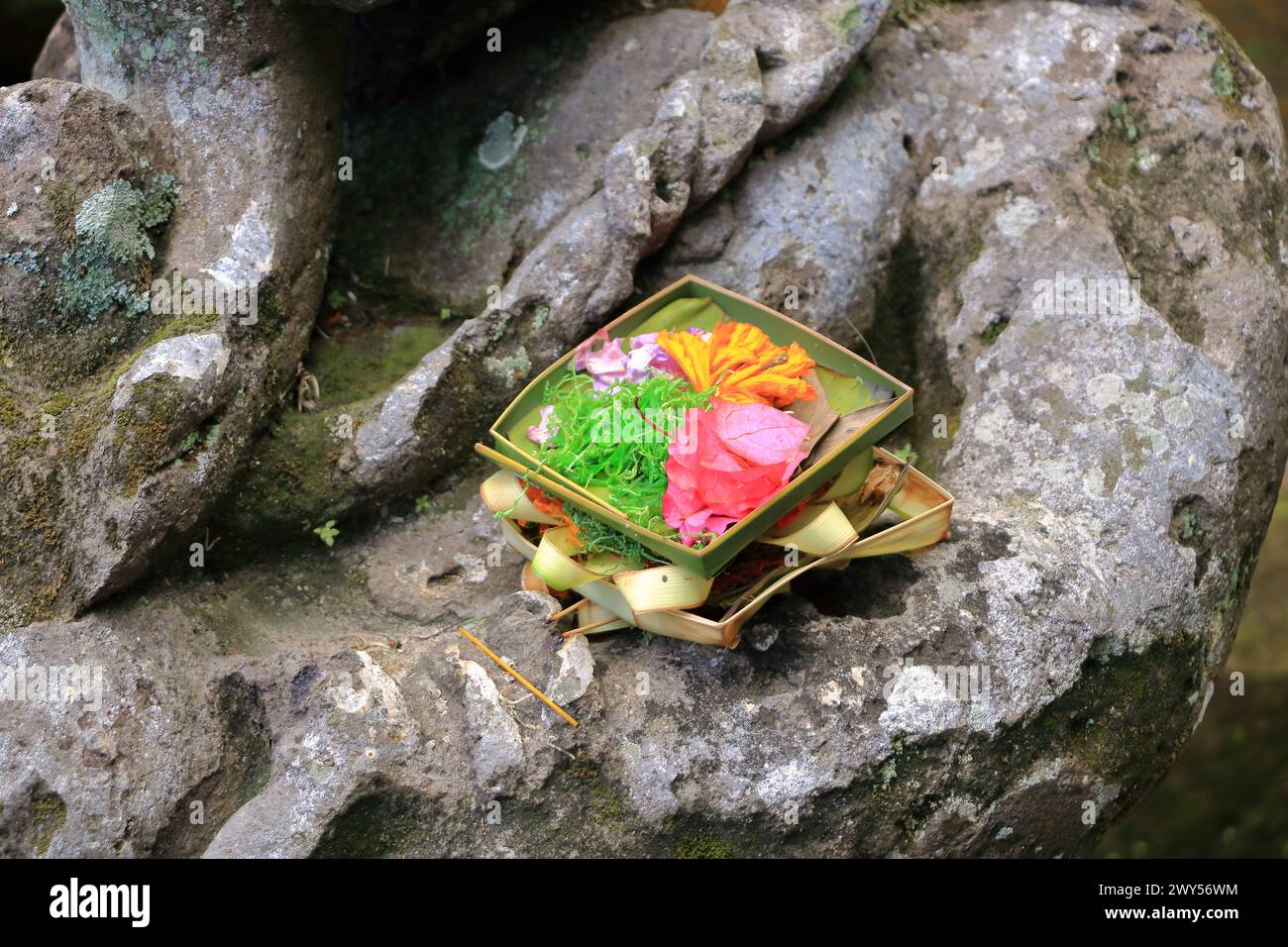 Canang Sari, the Traditional balinese offerings to gods in Bali with ...