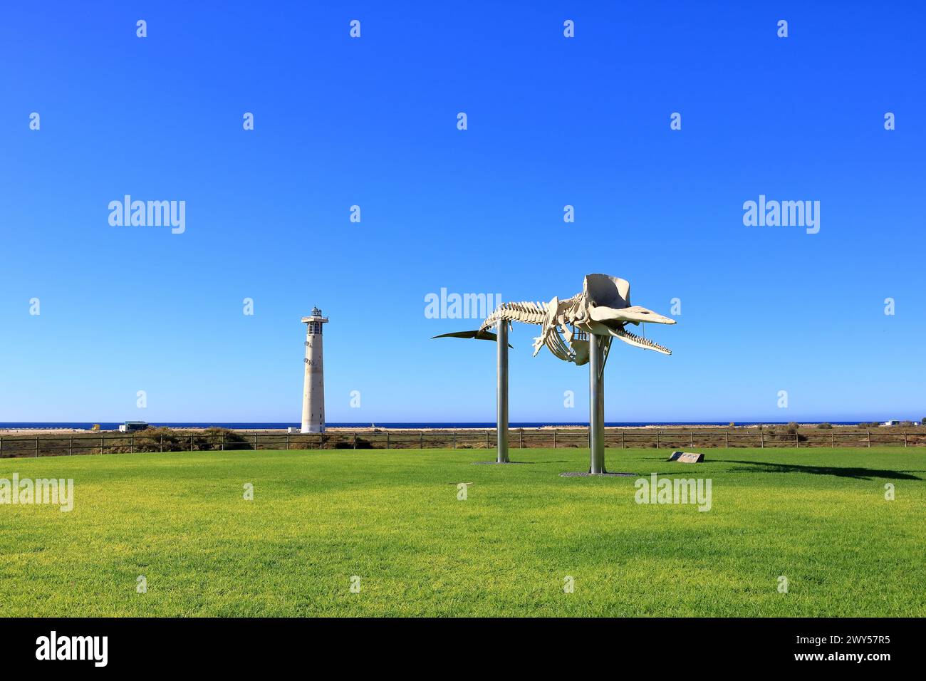 a Skeleton of a Sperm Whale in Morro Jable, Fuerteventura, Spain Stock ...