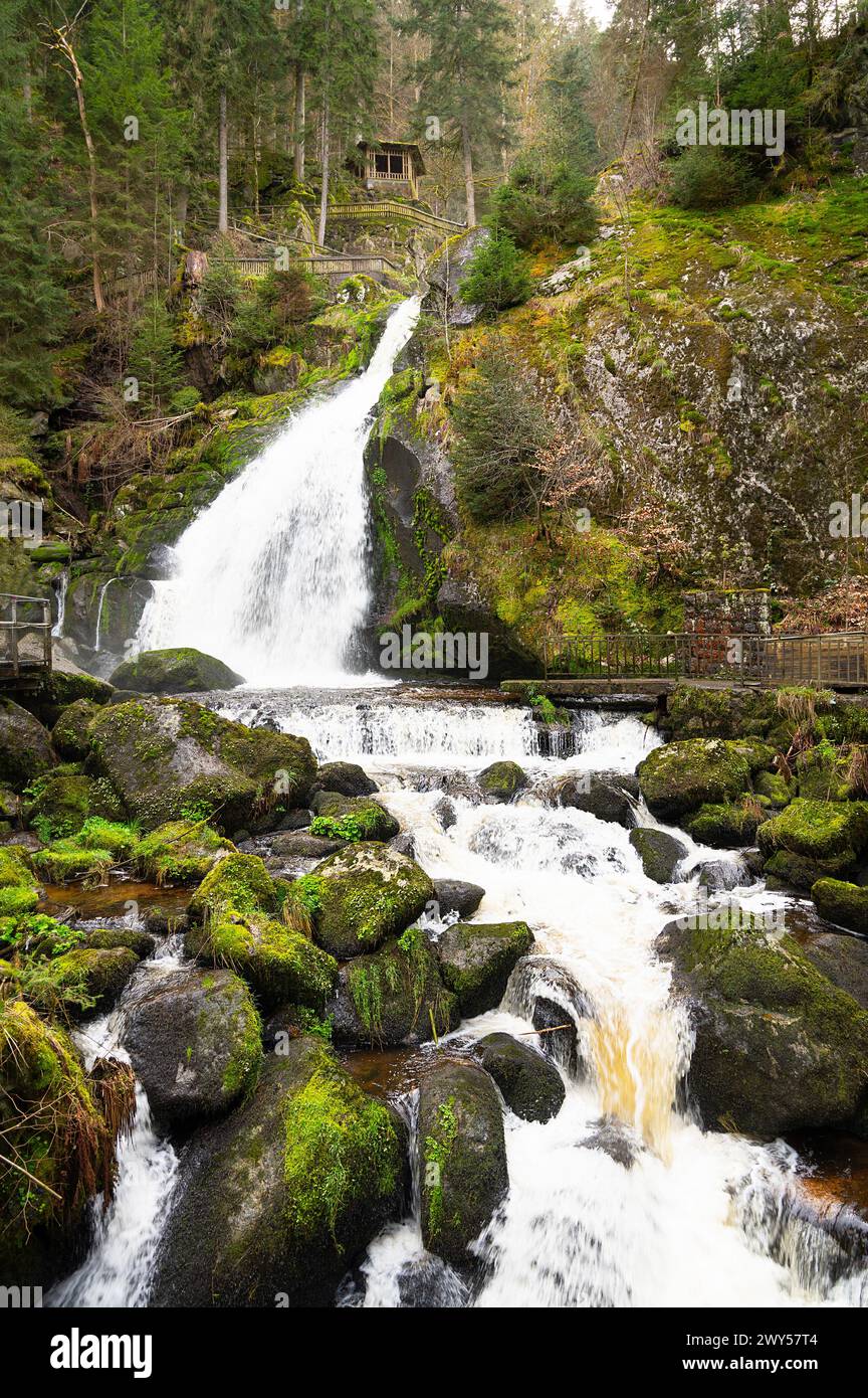 Triberg waterfall in the Black Forest, highest fall in Germany, Gutach ...