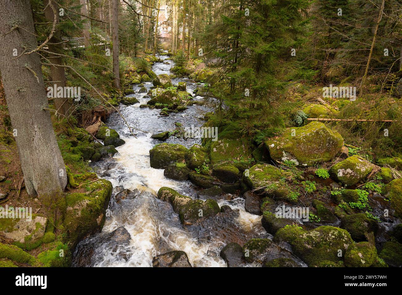 Triberg waterfall in the Black Forest, highest fall in Germany, Gutach ...