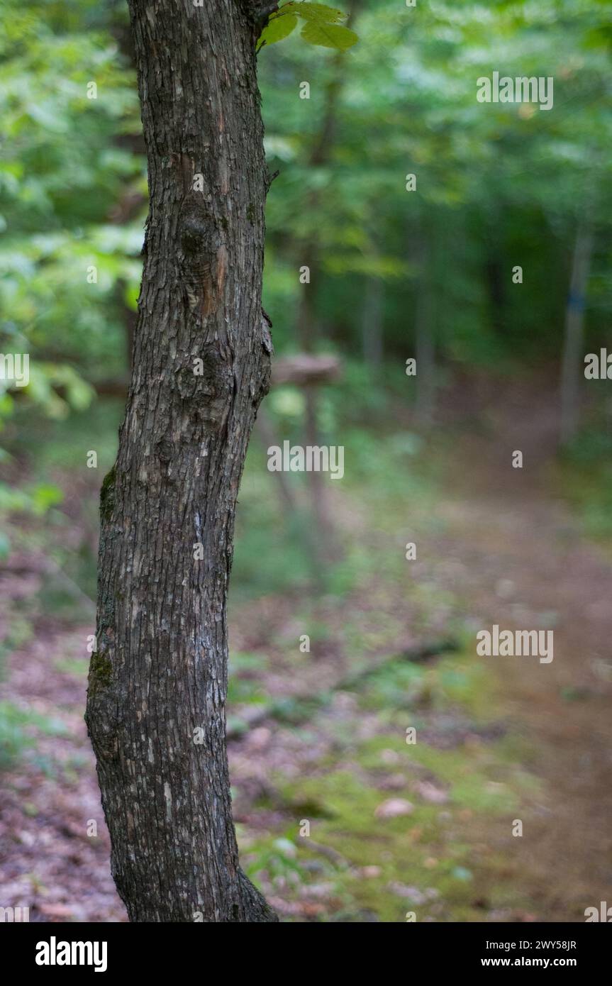 Ny hiking trails hi-res stock photography and images - Alamy