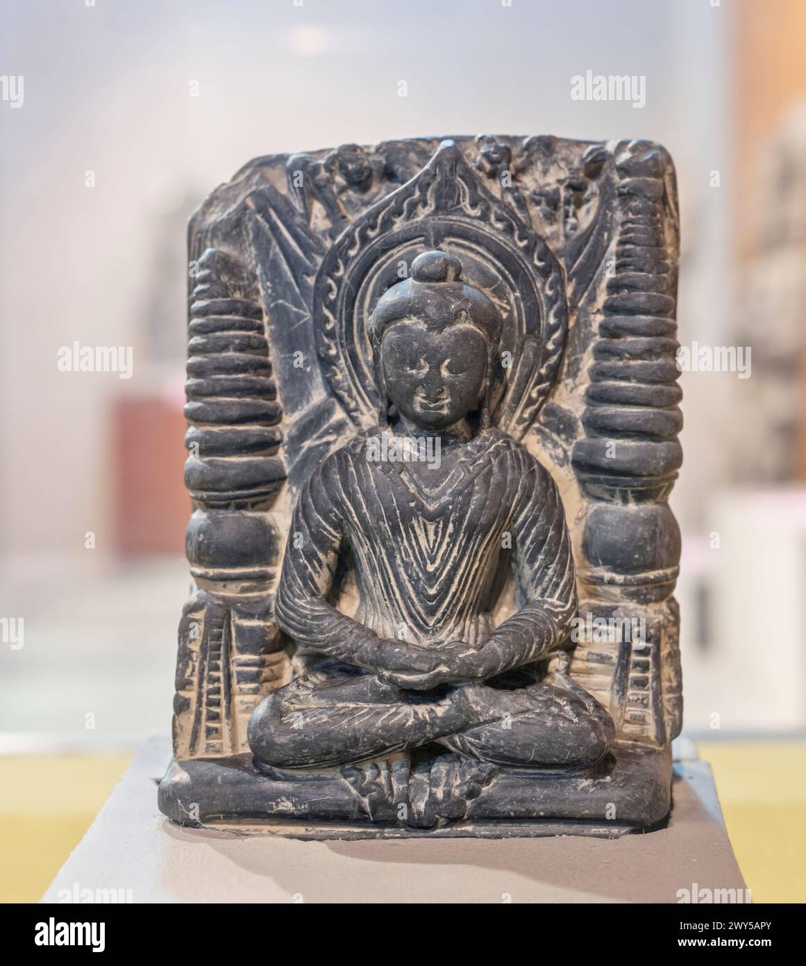 Sps museum hi-res stock photography and images - Alamy