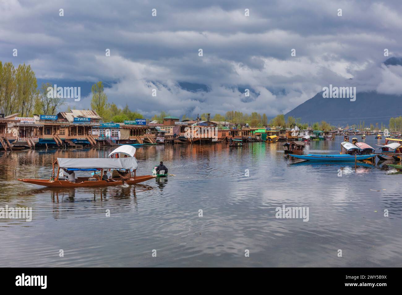 Dal lake, Srinagar, Kashmir, India Stock Photo - Alamy