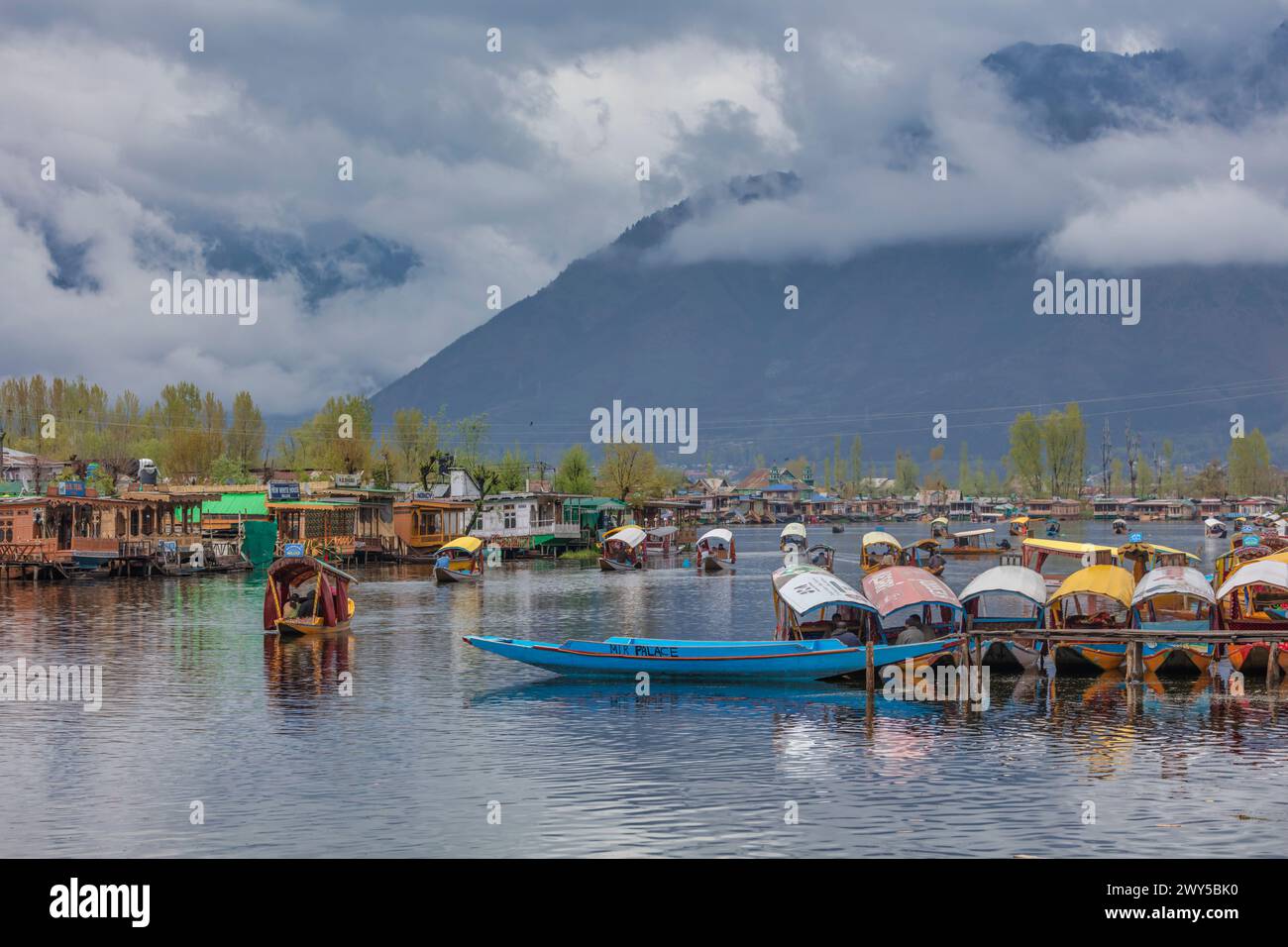 Dal lake, Srinagar, Kashmir, India Stock Photo - Alamy