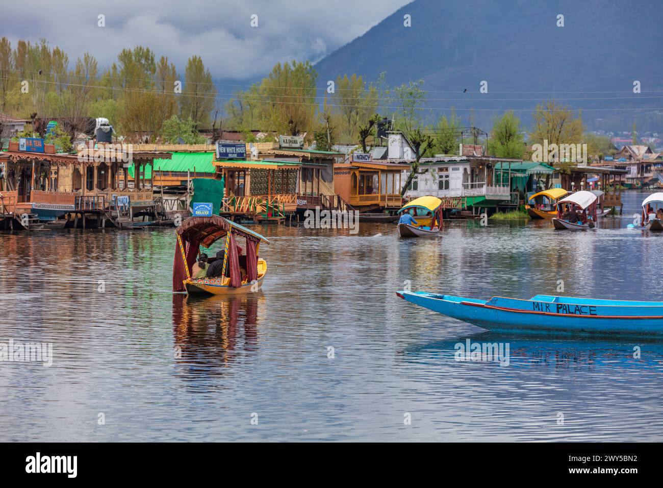Dal lake, Srinagar, Kashmir, India Stock Photo - Alamy