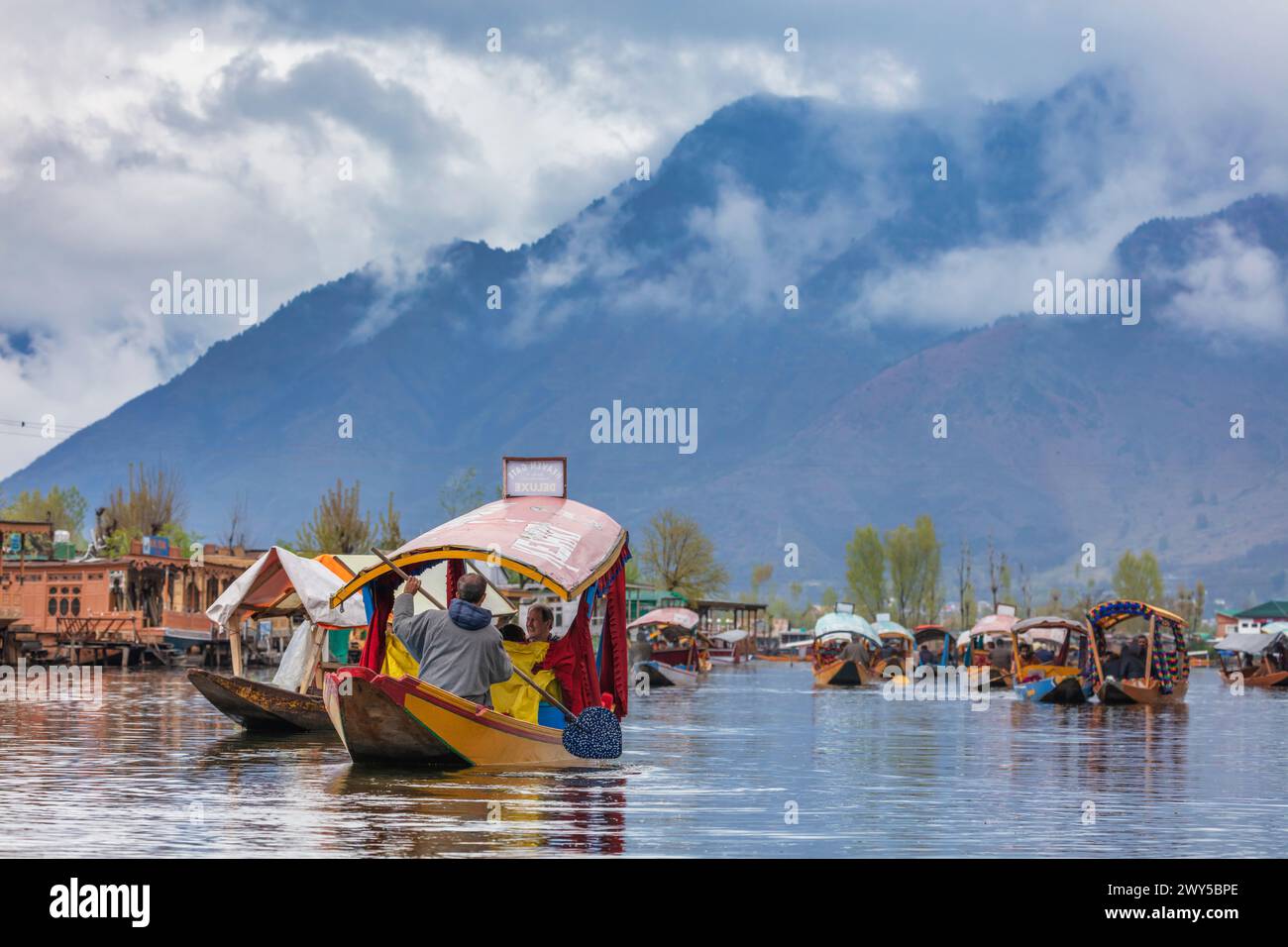 Dal lake, Srinagar, Kashmir, India Stock Photo - Alamy
