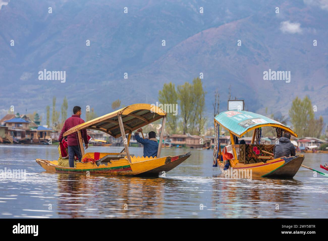 Dal lake, Srinagar, Kashmir, India Stock Photo - Alamy