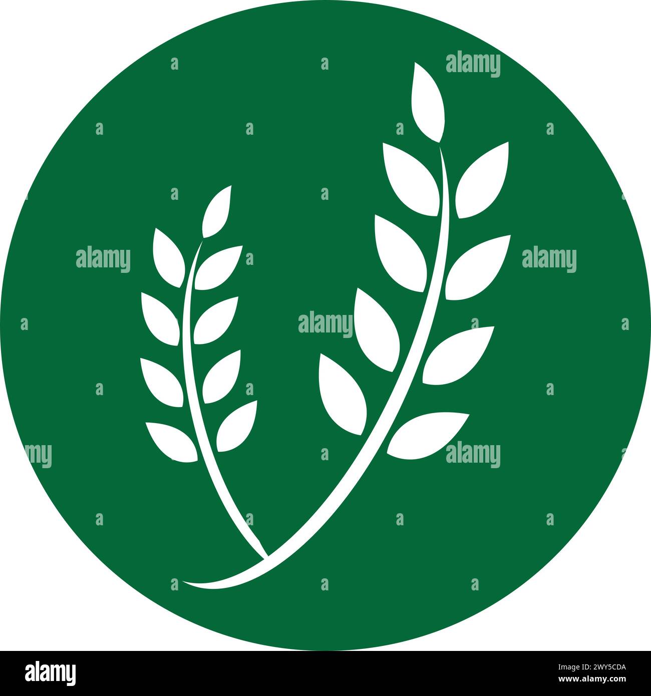 Cultivated rice field Stock Vector Images - Alamy