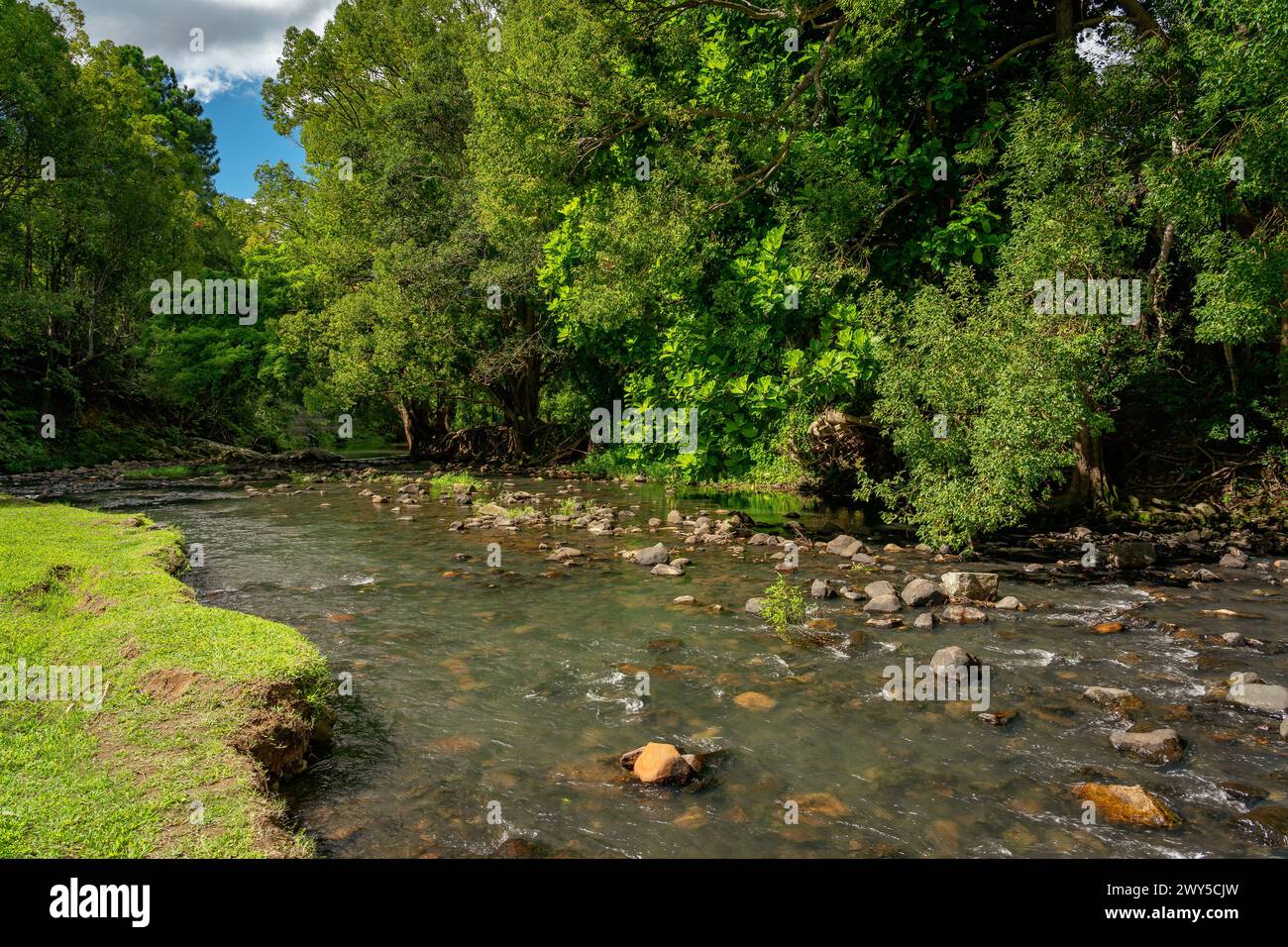 Currumbin Rock Pools in Gold Coast, Queensland, Australia Stock Photo ...