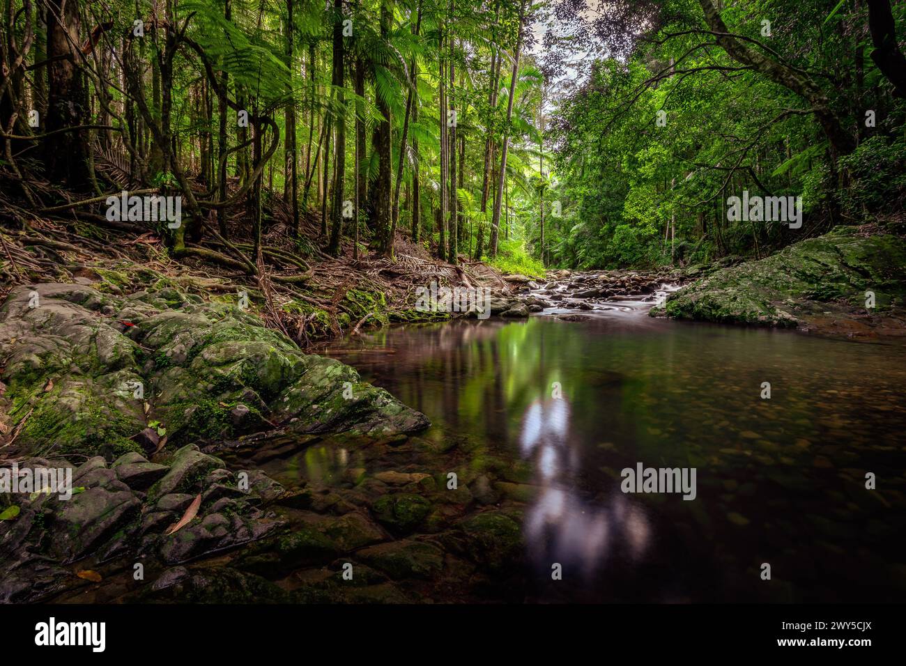 Cougal cascade hi-res stock photography and images - Alamy
