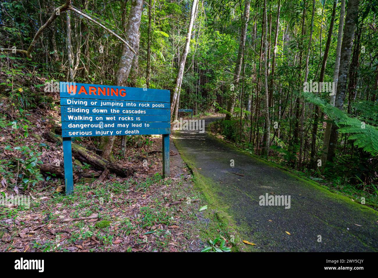 Gold Coast, Queensland, Australia - Walking track through the forest in ...