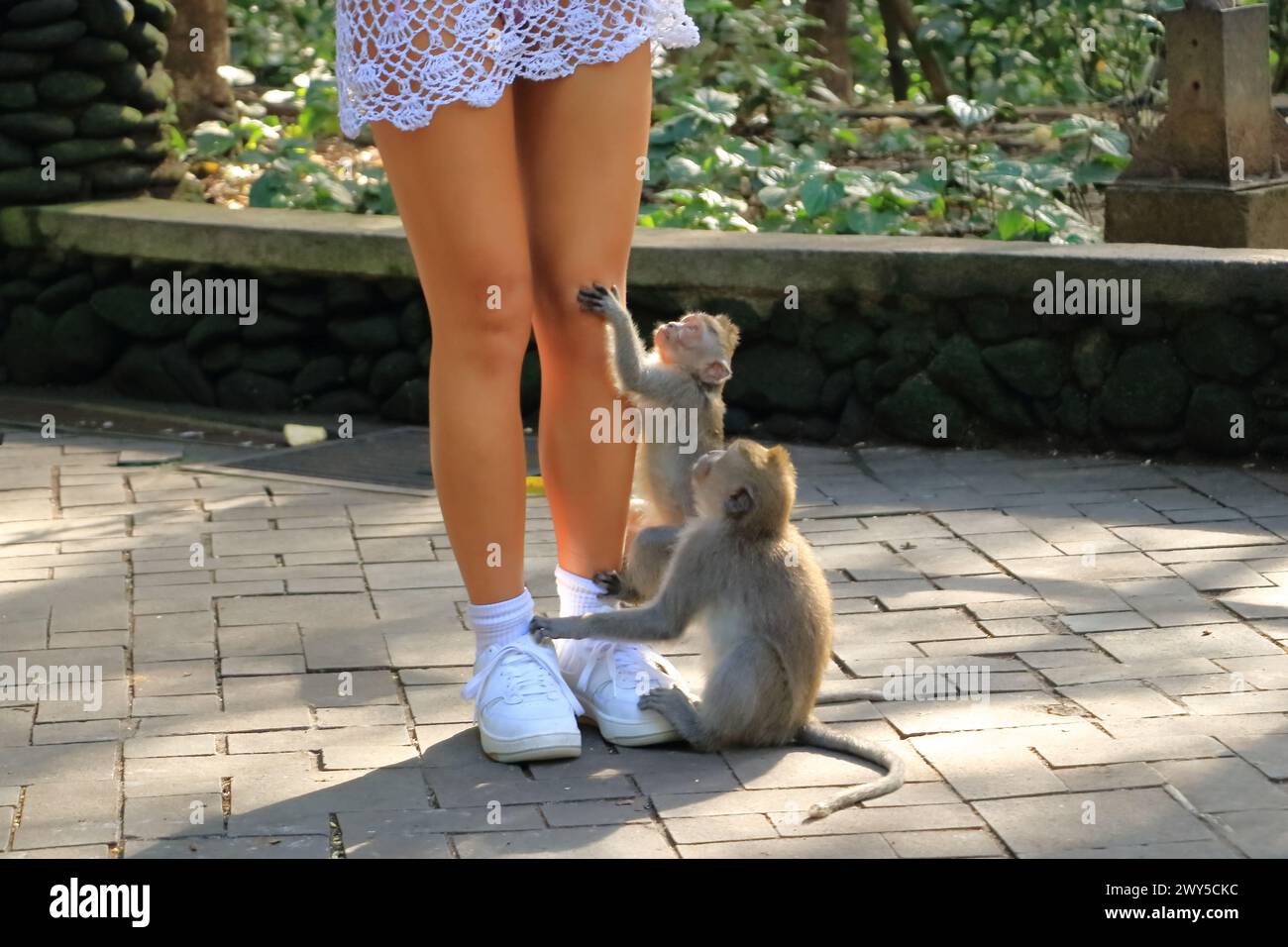 Ubud, Bali in Indonesia - January 30 2024: Tourists are taking picture ...