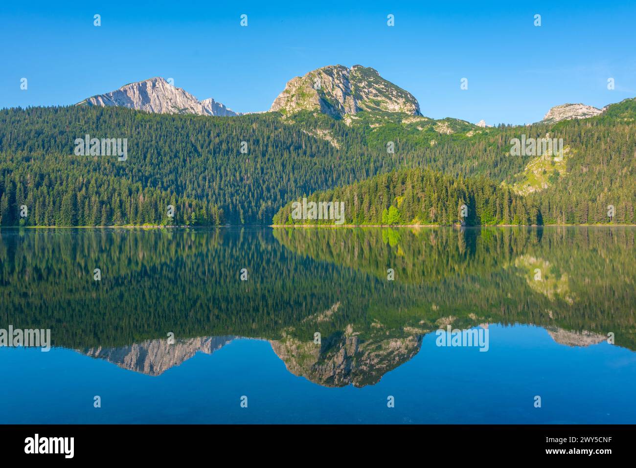 Crno Jezero aka Black lake at Durmitor national park in Montenegro ...