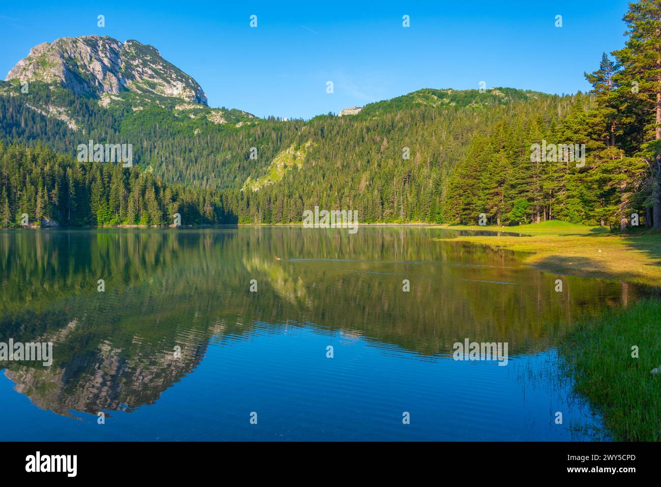 Crno Jezero aka Black lake at Durmitor national park in Montenegro ...