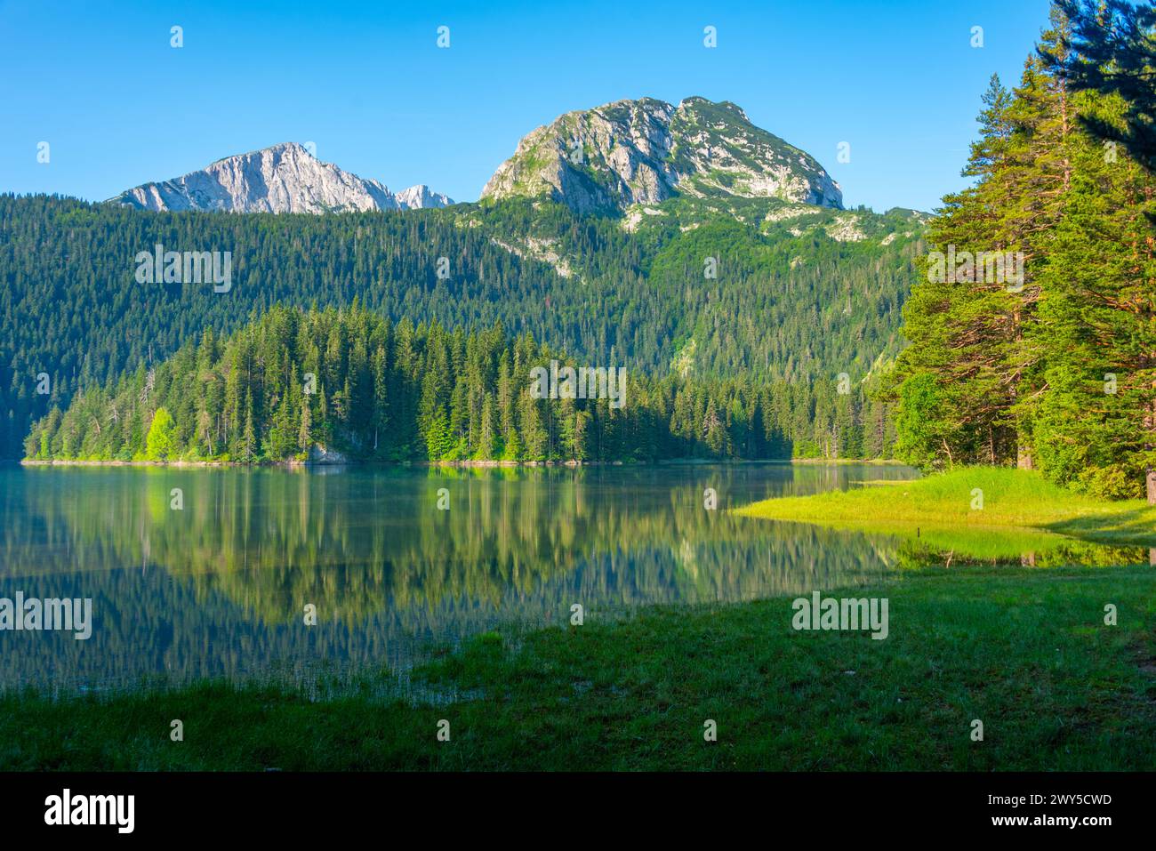 Crno Jezero aka Black lake at Durmitor national park in Montenegro ...