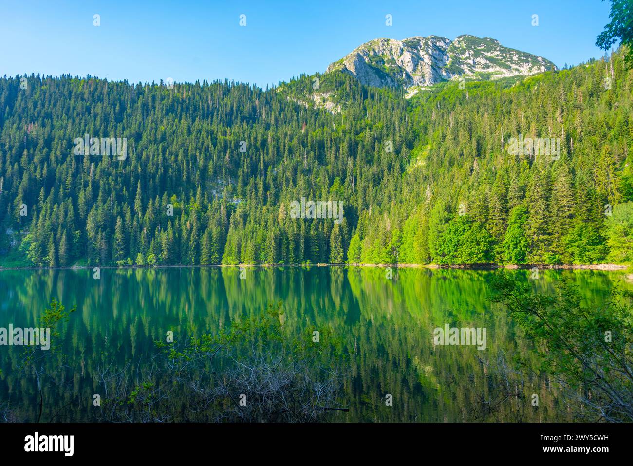 Crno Jezero aka Black lake at Durmitor national park in Montenegro ...