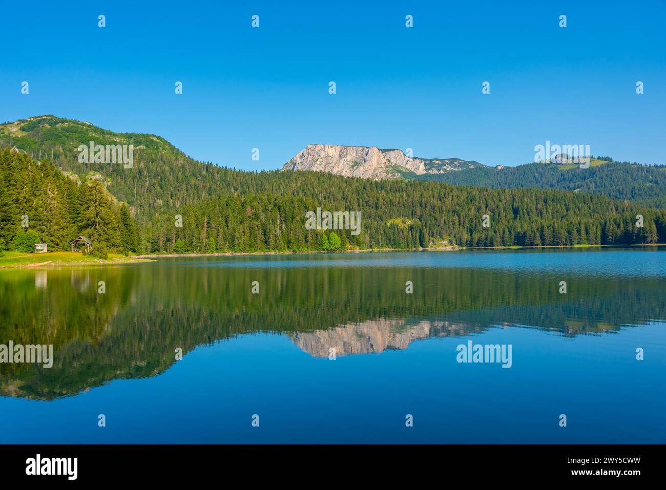 Crno Jezero aka Black lake at Durmitor national park in Montenegro ...