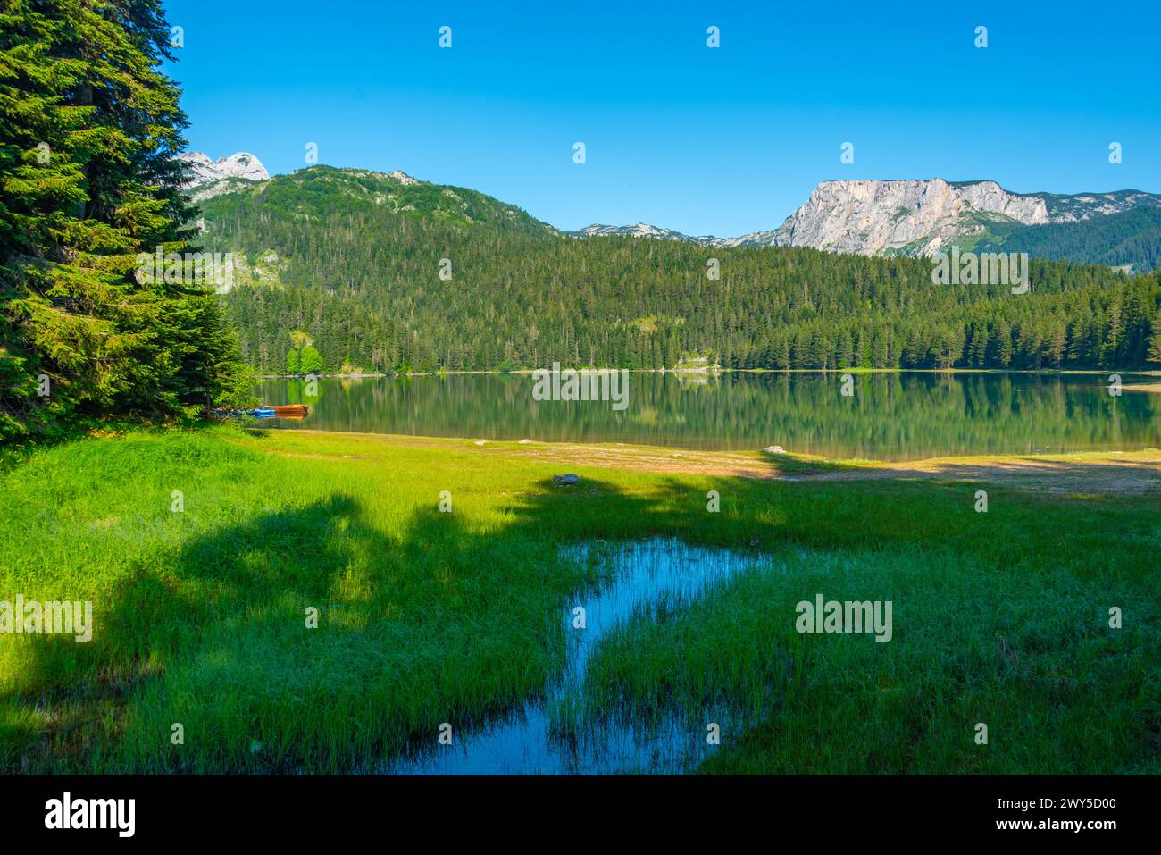 Crno Jezero aka Black lake at Durmitor national park in Montenegro ...