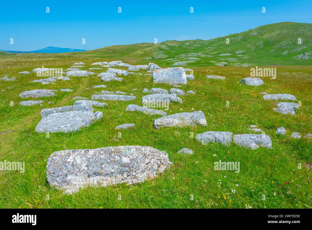 Stecci - a historical graveyard at Durmitor national park in Montenegro ...