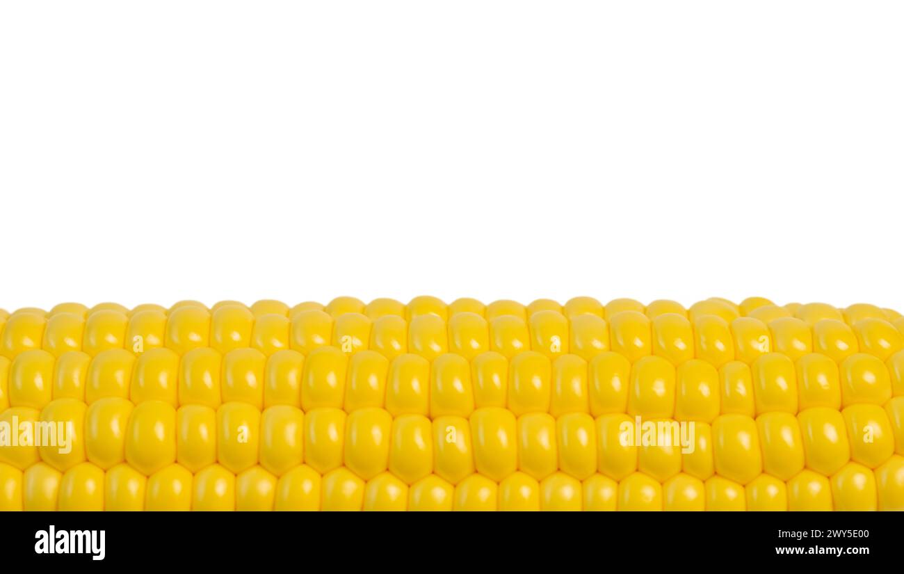 A cob of sweet corn on a white background. Design element for product ...