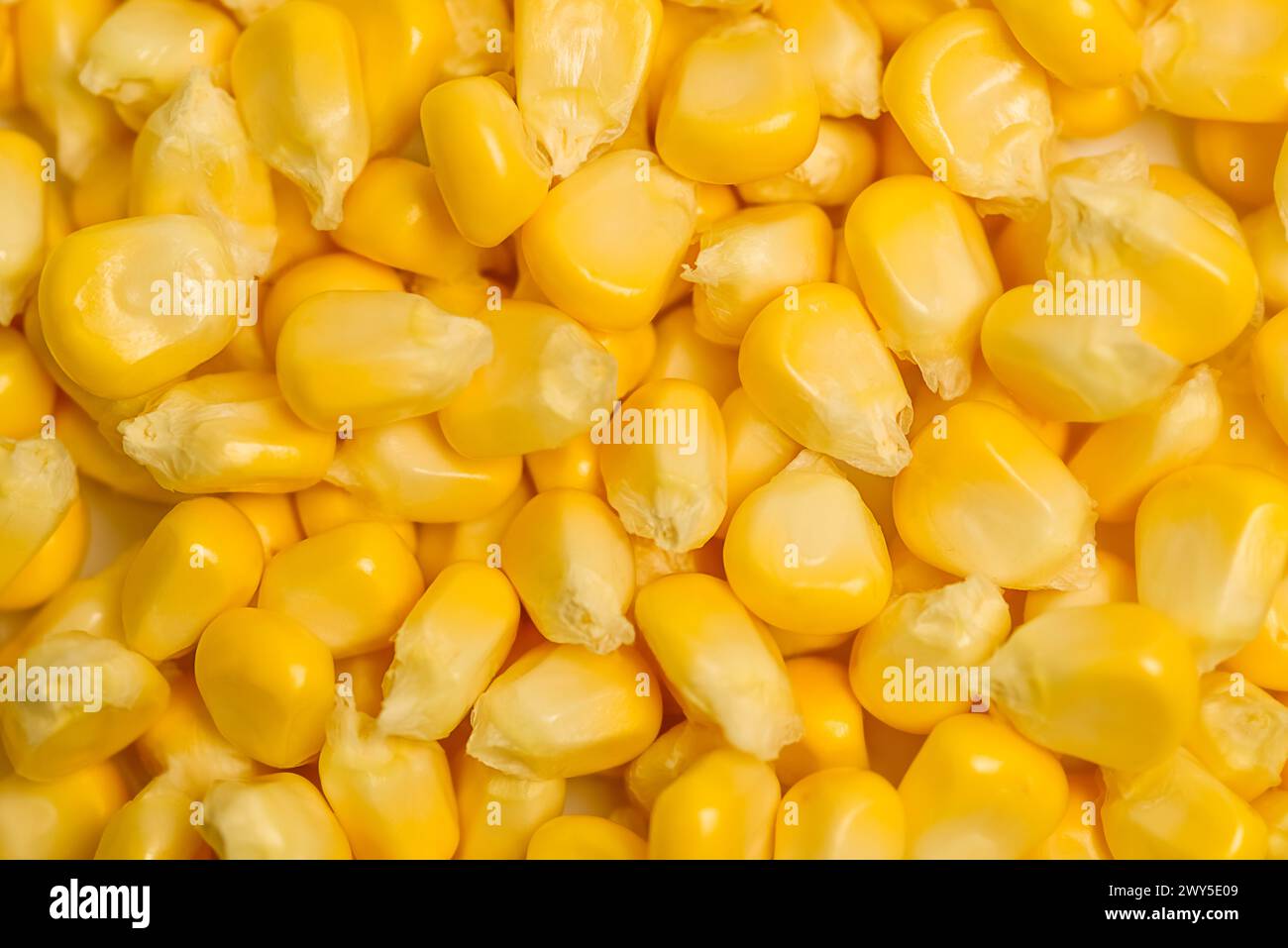 Frame fresh corn kernels hi-res stock photography and images - Alamy