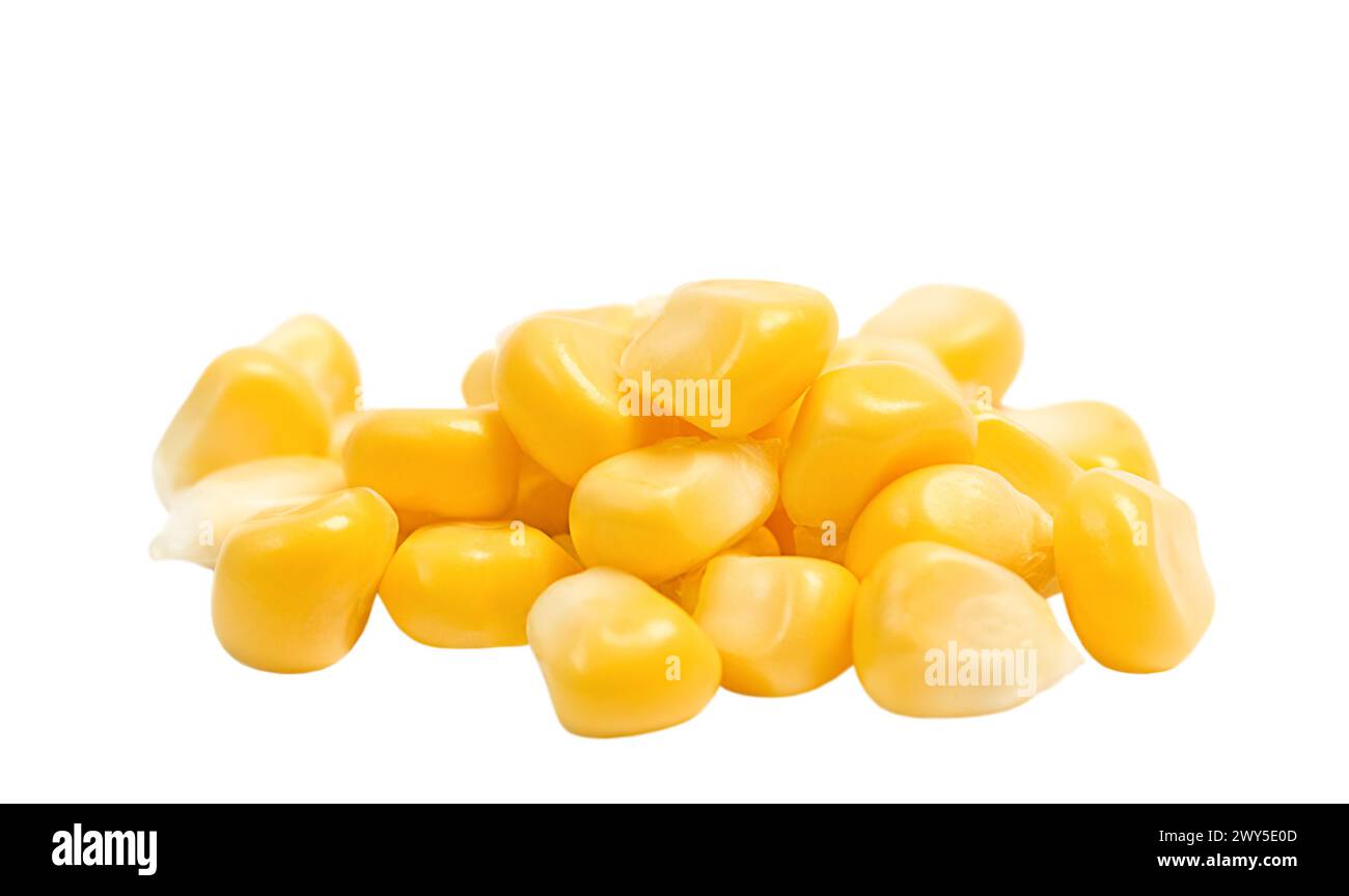 Sweet corn cob grains isolated on white background. Design element for ...
