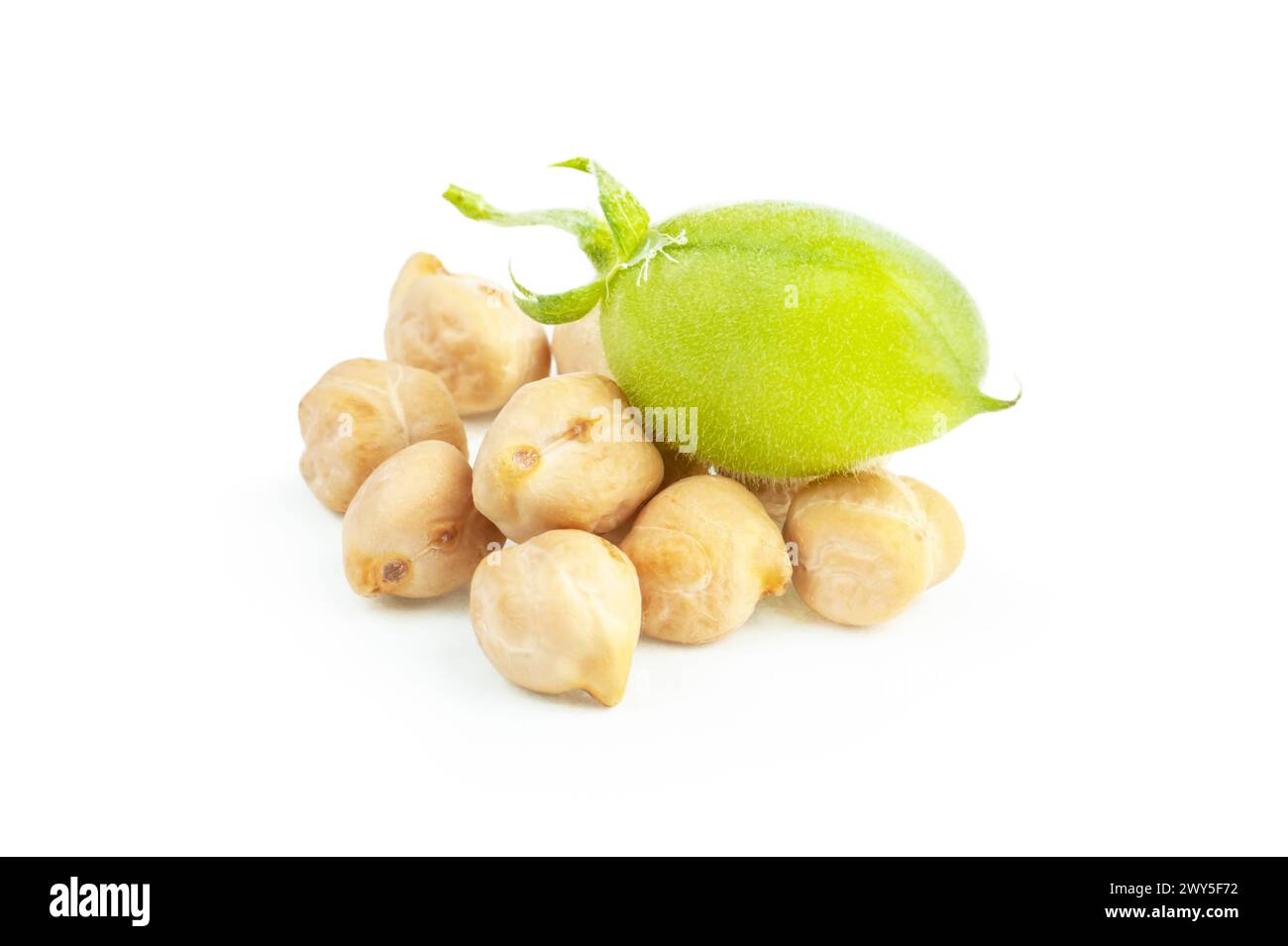 Uncooked dried chickpeas with raw green chickpea pod plant isolated on ...