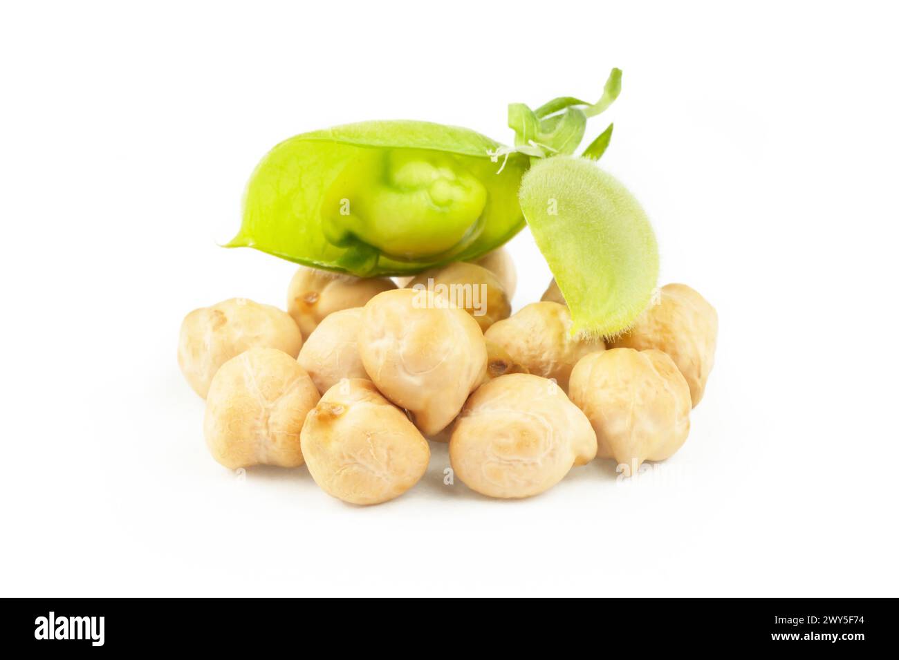 Uncooked dried chickpeas with raw green chickpea pod plant isolated on ...